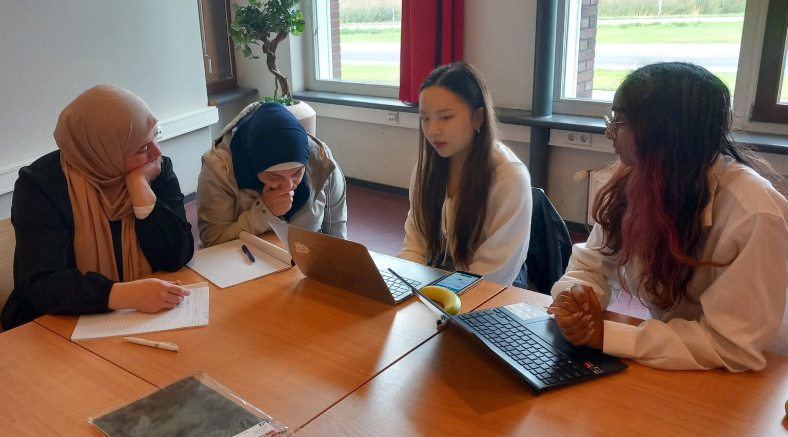 Digitale Vaardigheden